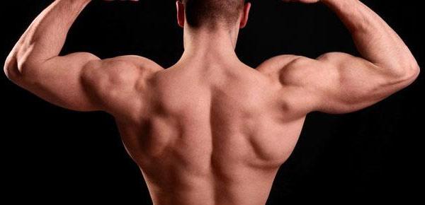 Se muscler le dos : Exercices pour avoir un dos musclé